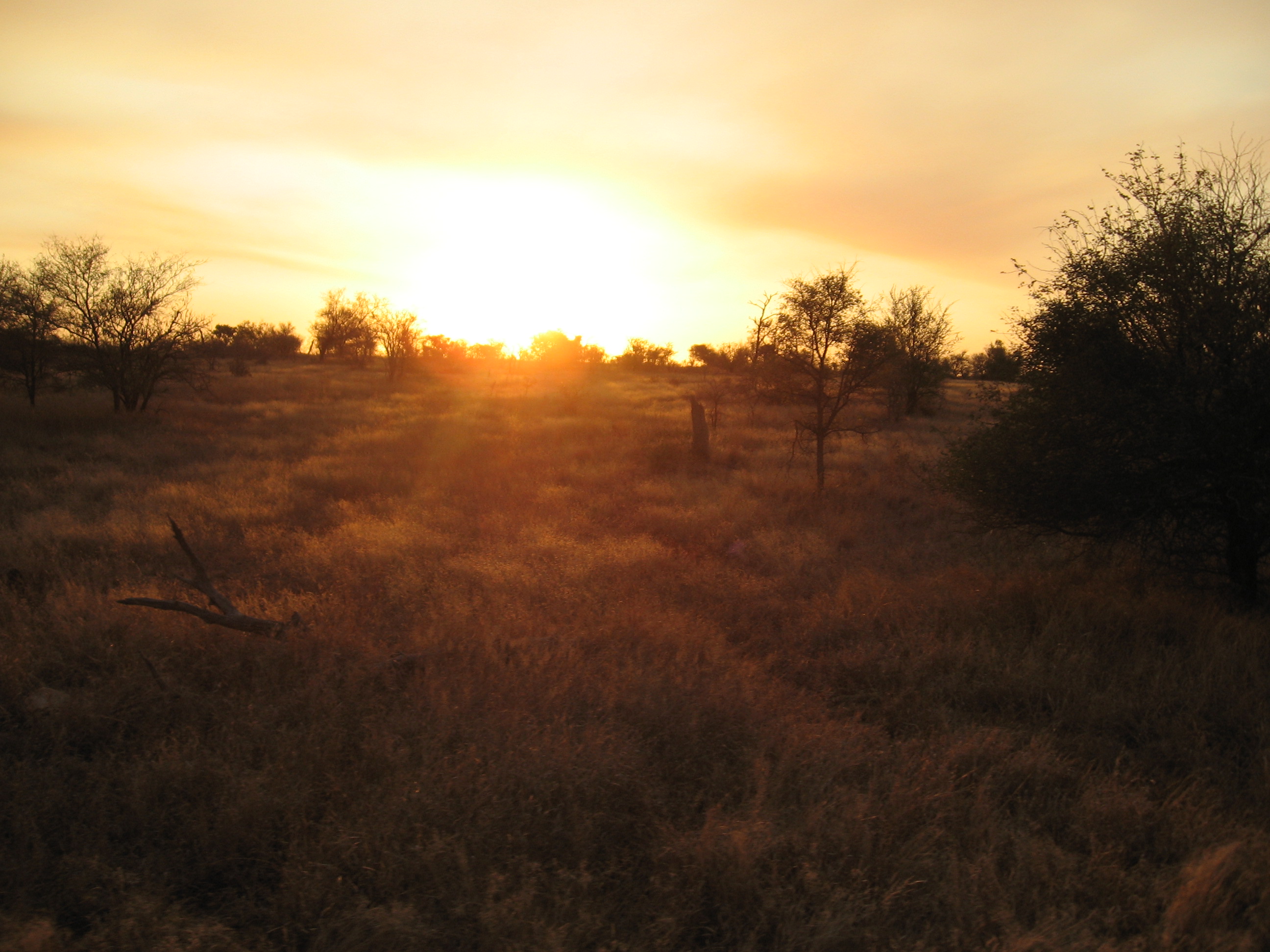 Top Things To Do In South Africa Agent Luxe Blog