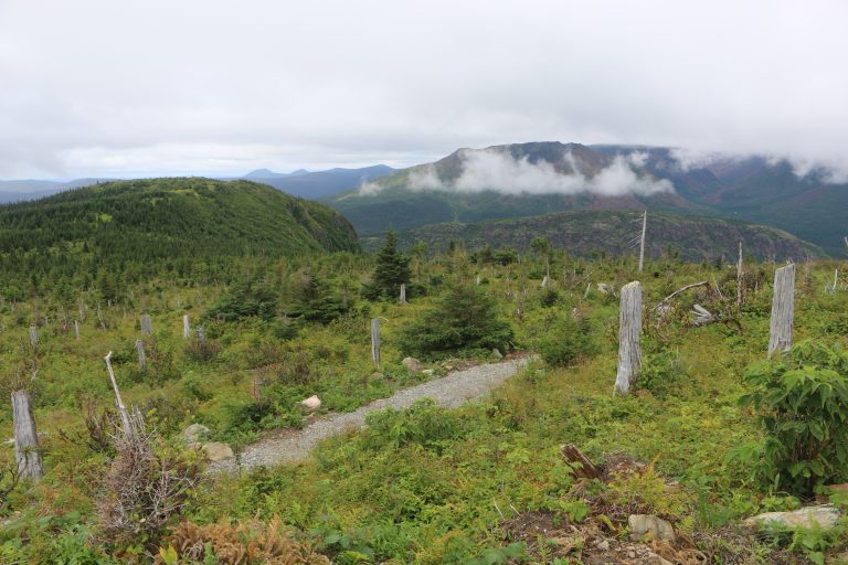 Top things to do in Eastern Canada | Agent luxe blog